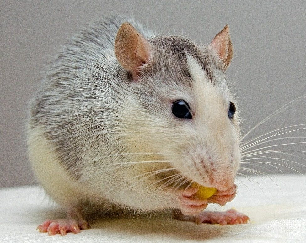 நாம் நாமாக இருப்போம்